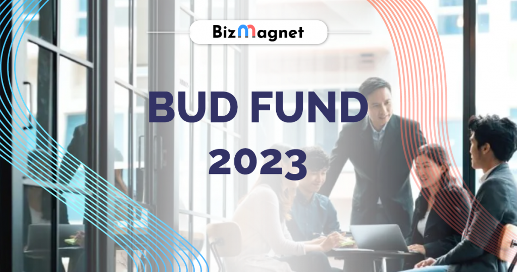 BUD Fund statistic 2023 - BizMagnet