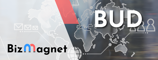 Should I apply for the BUD Fund or the TVP? - BizMagnet