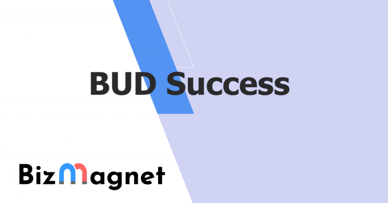 Successful BUD cases in 2022 - BizMagnet